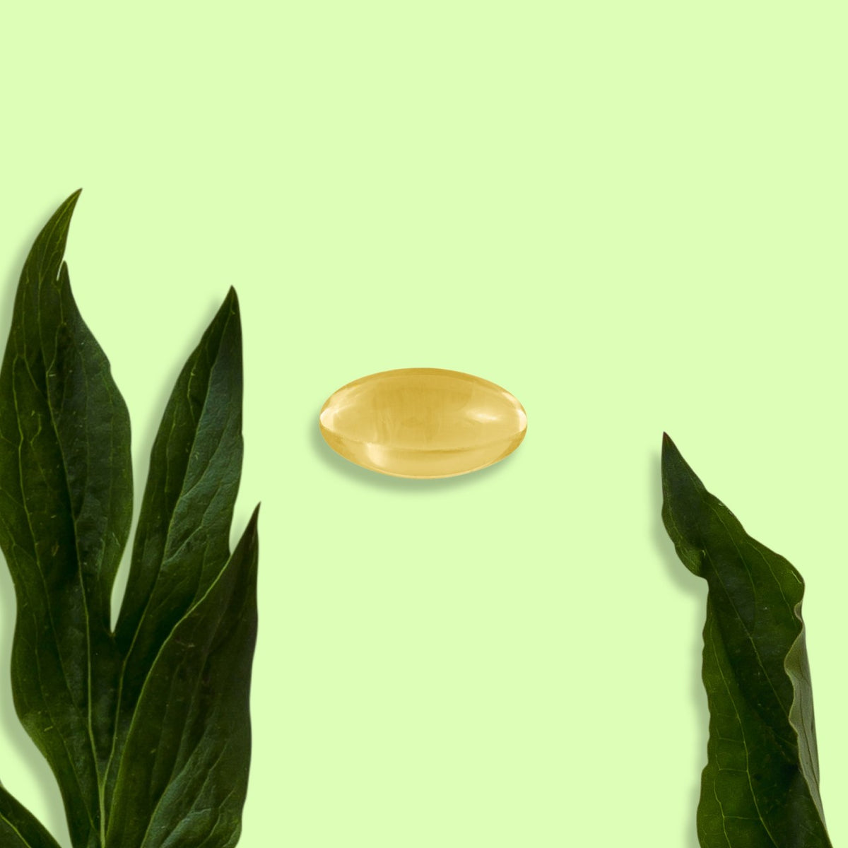 Hawthorn Oil – Suplibox